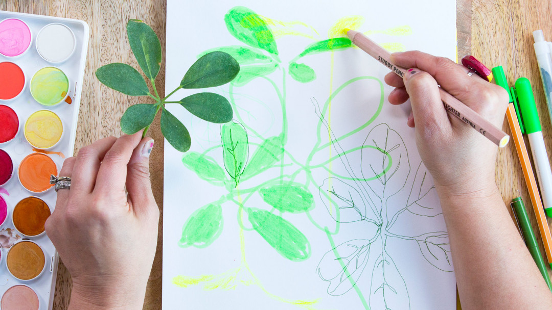 Daily Drawing Challenge: Tracing Shadows with Lisa Solomon by Lisa ...