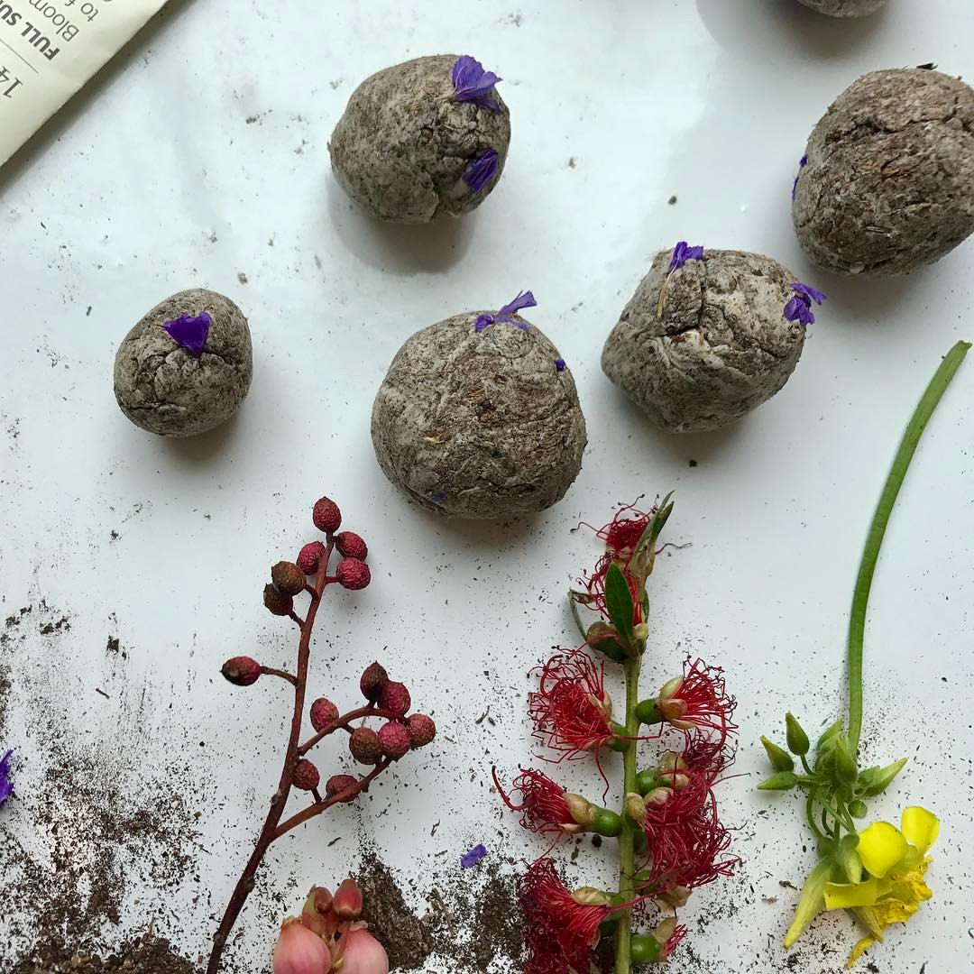Seed Bombs by CBTV Live - Creativebug
