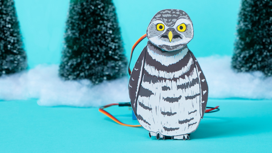 STEAM: Make an Animatronic Owl Figure by Jamie Hudson - Creativebug