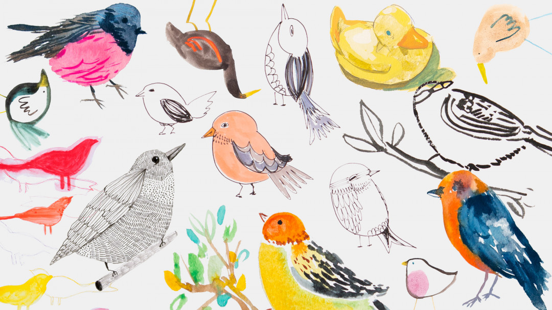 Mixtape: 7 Ways to Paint and Draw Birds by CBTV - Creativebug