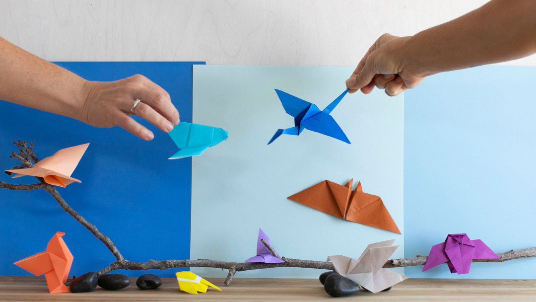 Origami Safari: A Daily Practice by Faith Hale - Creativebug