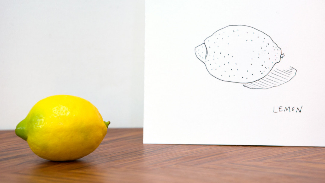 How to Draw a Lemon by Molly Hatch - Creativebug