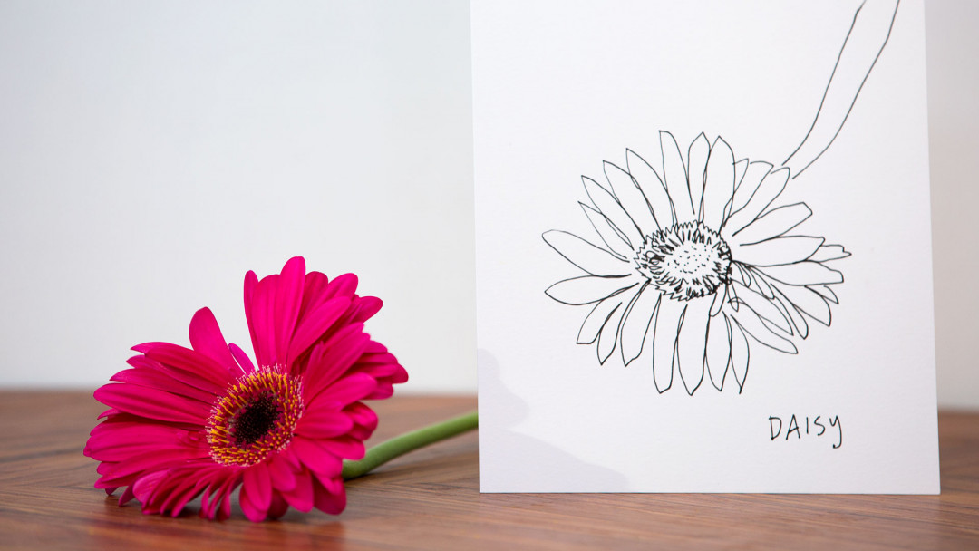 Simple Gerbera Daisy Drawing