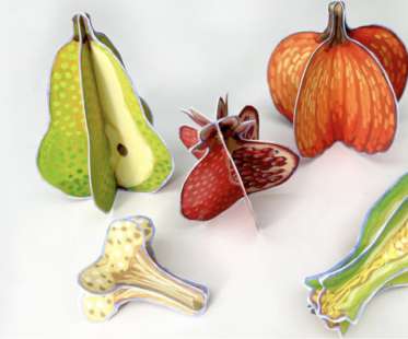 Creativebug - Craft Classes & Workshops - What will you make today?